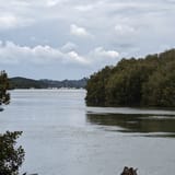 Waitangi to Haruru Falls Walk, Northland, New Zealand - 286 Reviews ...