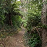 Waitangi to Haruru Falls Walk, Northland, New Zealand - 286 Reviews ...