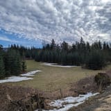 Cape Horn Loop Trail, Washington - 4,281 Reviews, Map | AllTrails