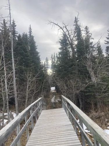 Best Forest Trails in Beauvais Lake Provincial Park | AllTrails