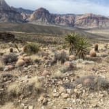 Fossil Ridge Loop, Nevada - 834 Reviews, Map | AllTrails