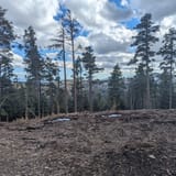 Spruce Mountain via Groom Creek Loop (#307), Arizona - 1,133 Reviews ...