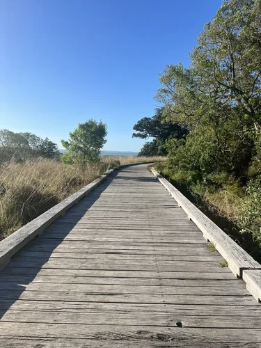 Best Hikes and Trails in Omana Regional Park | AllTrails