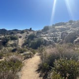 Sawtooth Loop, California - 239 Reviews, Map | AllTrails