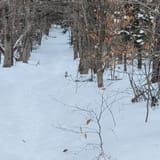 Mount Watatic and Nutting Hill via Wapack Trail, Massachusetts - 2,669 ...
