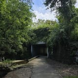 Cabbage Tree Creek, Queensland, Australia - 97 Reviews, Map | AllTrails