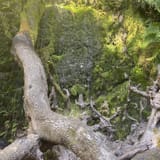 Cecilia Waterfall via Cecilia Forest, Western Cape, South Africa ...