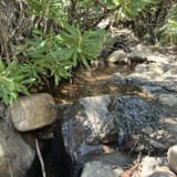 Paradyskloof Waterfall, Western Cape, South Africa - 776 Reviews, Map ...