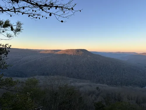 Best Hikes and Trails in Bridgestone Firestone Centennial Wilderness ...