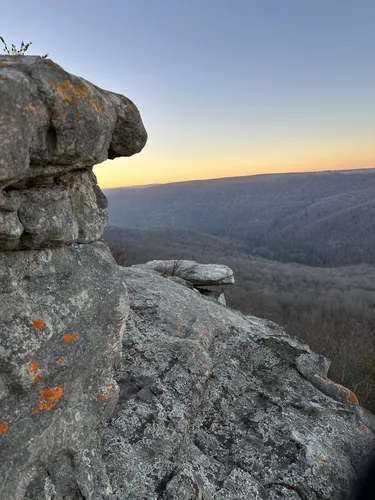 Best Hikes and Trails in Bridgestone Firestone Centennial Wilderness ...