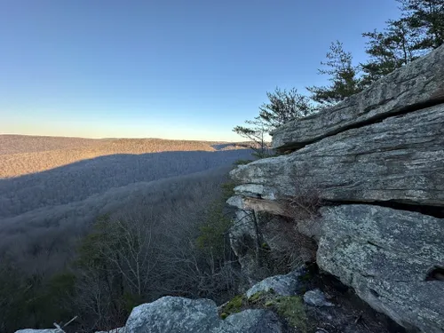 Best Hikes and Trails in Bridgestone Firestone Centennial Wilderness Wildlife Management Area ...