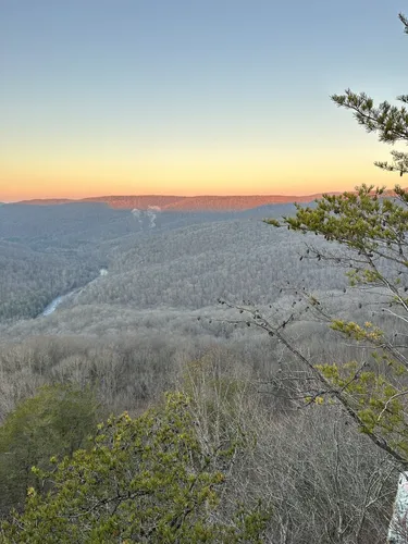 Best Hikes and Trails in Bridgestone Firestone Centennial Wilderness ...