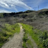 Bane Canyon Short Loop Trail, California - 844 Reviews, Map | AllTrails