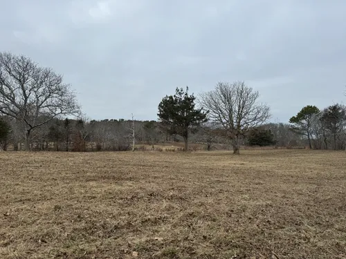 Best Hikes and Trails in Crowes Pasture Conservation Area | AllTrails