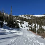 Trail Ridge Road, Colorado - 529 Reviews, Map | AllTrails