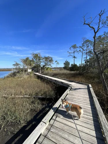 Best Hikes and Trails in Dutton Island Preserve | AllTrails