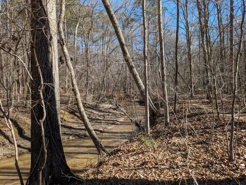 Best Hikes and Trails in Dauset Trails Nature Center | AllTrails