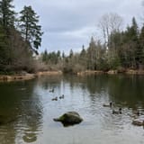 Whatcom Creek Trail Loop, Washington - 1,946 Reviews, Map | AllTrails