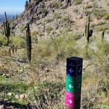 Freedom Trail (#302), Arizona - 4,106 Reviews, Map | AllTrails
