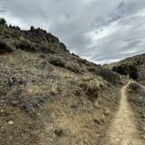 Hunter Creek Trail, Nevada - 4,265 Reviews, Map | AllTrails