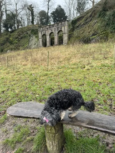 Best Hikes and Trails in Saltram House | AllTrails