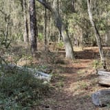 Silver Lake Recreation Area, Florida - 127 Reviews, Map | AllTrails