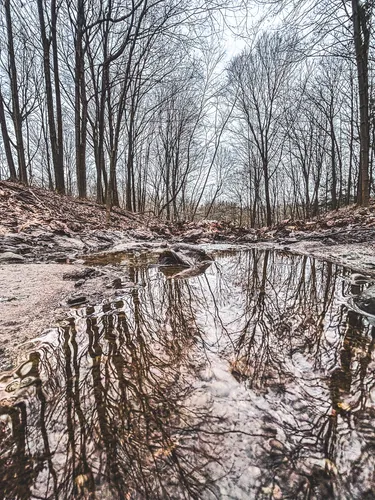 Best Hikes and Trails in Irondequoit Bay Park West | AllTrails