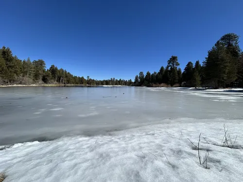 Best Hikes and Trails in Bluff Lake Reserve | AllTrails