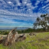 Redtail Loop to Arastradero Creek Loop, California - 1,868 Reviews, Map ...