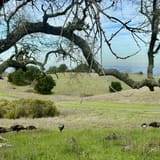 Redtail Loop to Arastradero Creek Loop, California - 1,868 Reviews, Map ...