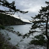 Washington Park Loop Road, Washington - 1,903 Reviews, Map | AllTrails