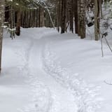 Hancock Notch Trail, New Hampshire - 62 Reviews, Map | AllTrails