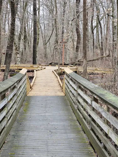 Best Hikes and Trails in Great Swamp National Wildlife Refuge | AllTrails