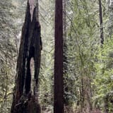 Leiffer and Ellsworth Loop, California - 609 Reviews, Map | AllTrails