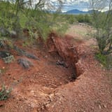 Coon Bluff Trail, Arizona - 703 Reviews, Map | AllTrails