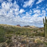 Coon Bluff Trail, Arizona - 772 Reviews, Map | AllTrails