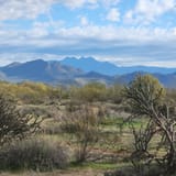 Coon Bluff Trail, Arizona - 772 Reviews, Map | AllTrails