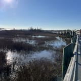 Cedar Point Tideland Trail, North Carolina - 701 Reviews, Map | AllTrails