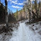 Triple Tree Trail, Montana - 1,182 Reviews, Map | AllTrails