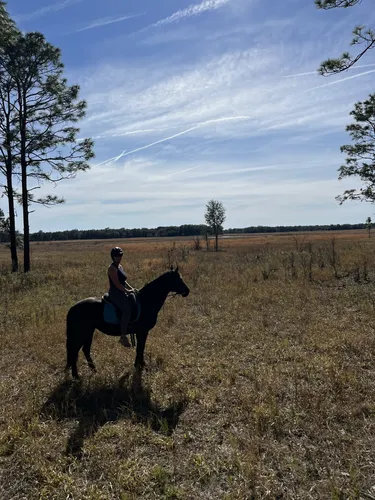 Best Hikes and Trails in Watermelon Pond Wildlife and Environmental ...