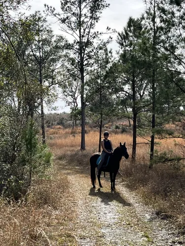 Best Hikes and Trails in Watermelon Pond Wildlife and Environmental ...