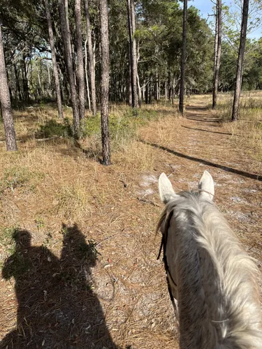 Best Hikes and Trails in Watermelon Pond Wildlife and Environmental ...