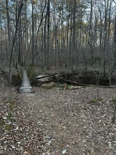 Best Hikes and Trails in Research Triangle Park | AllTrails