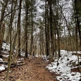 Luton Park Trail, Michigan - 1,090 Reviews, Map | AllTrails