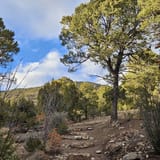 Carlito Springs Loop, New Mexico - 462 Reviews, Map | AllTrails