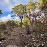 Carlito Springs Loop, New Mexico - 462 Reviews, Map | AllTrails