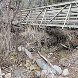 Carlito Springs Loop, New Mexico - 462 Reviews, Map | AllTrails