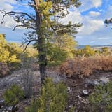 Carlito Springs Loop, New Mexico - 462 Reviews, Map | AllTrails