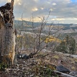 Carlito Springs Loop, New Mexico - 462 Reviews, Map | AllTrails