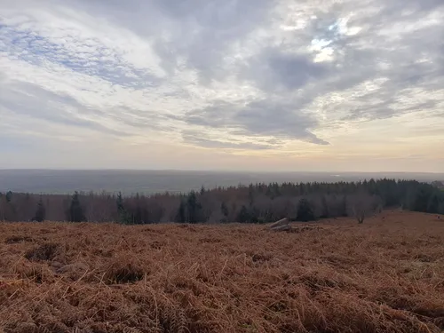 Best Hikes and Trails in Mortimer Forest | AllTrails